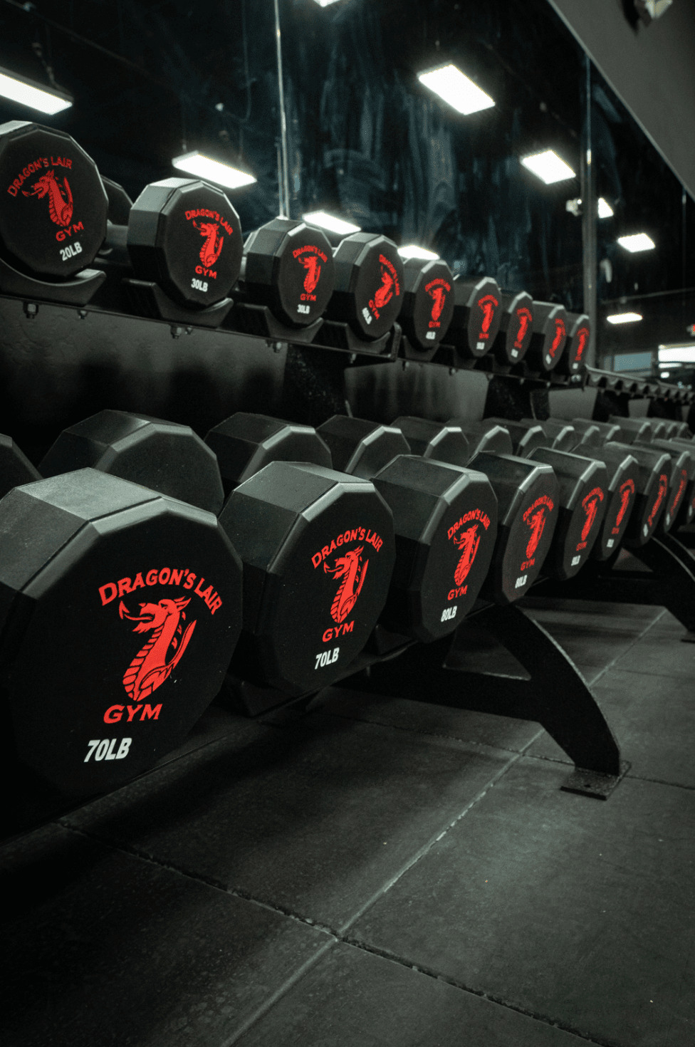 What Is The Difference Between Weightlifting and Bodybuilding | Dragon ...